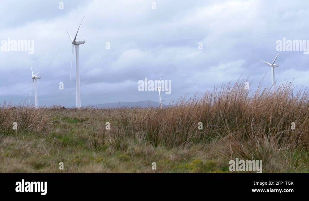 White moorland Stock Videos & Footage - HD and 4K Video Clips - Alamy