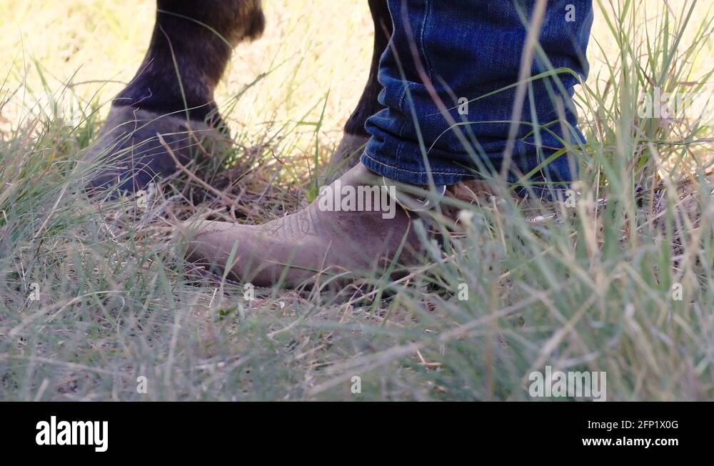 Leather riding boots Stock Videos & Footage - HD and 4K Video Clips - Alamy