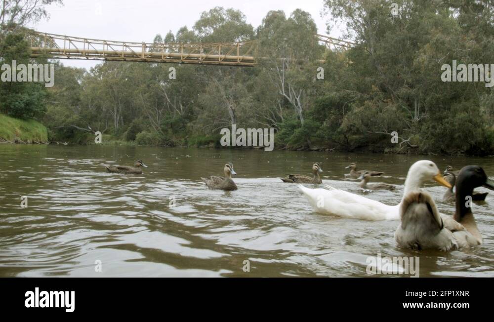 Tripod boat Stock Videos & Footage - HD and 4K Video Clips - Alamy