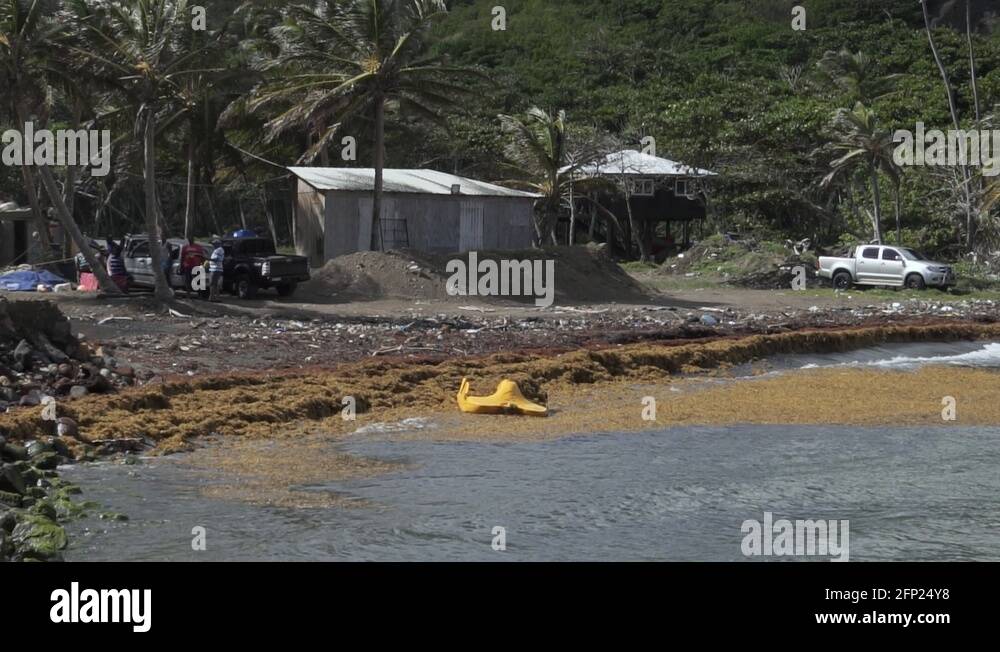 Dirty sand beach Stock Videos & Footage - HD and 4K Video Clips - Alamy