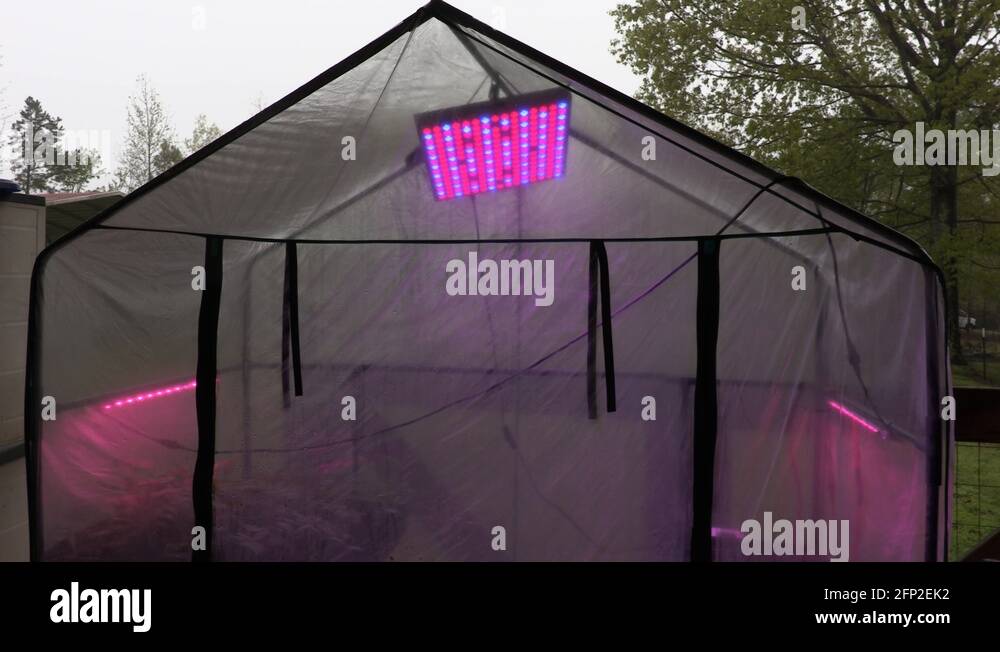 Wide spectrum Stock Videos & Footage - HD and 4K Video Clips - Alamy