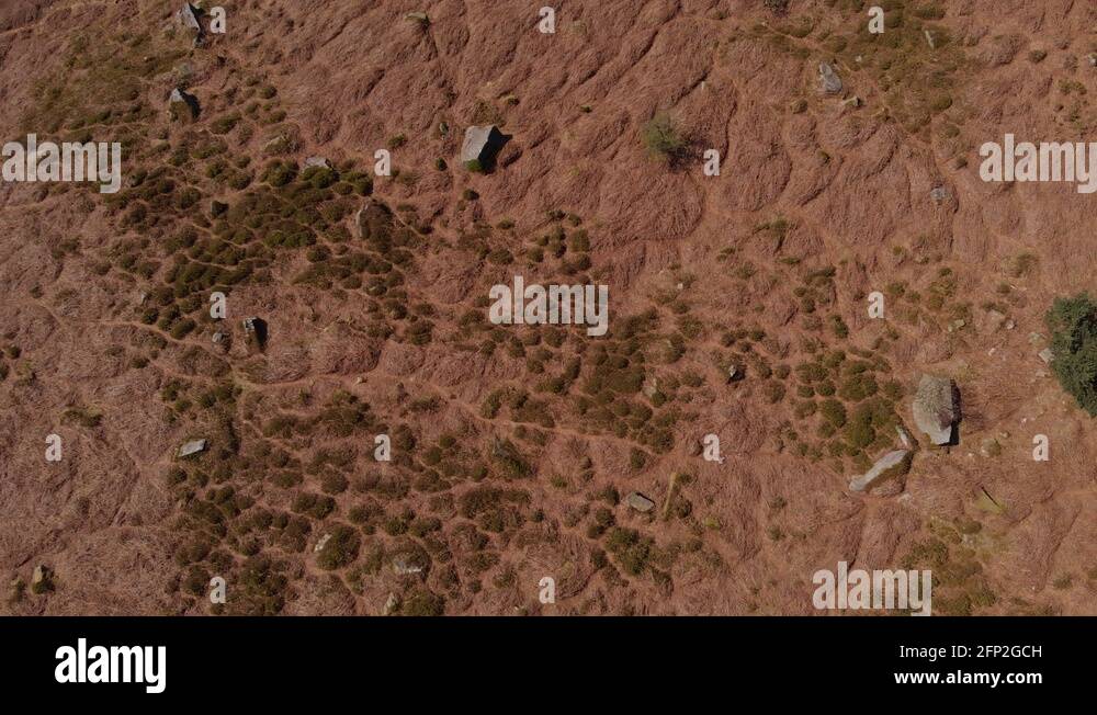 Ground textures Stock Videos & Footage - HD and 4K Video Clips - Alamy