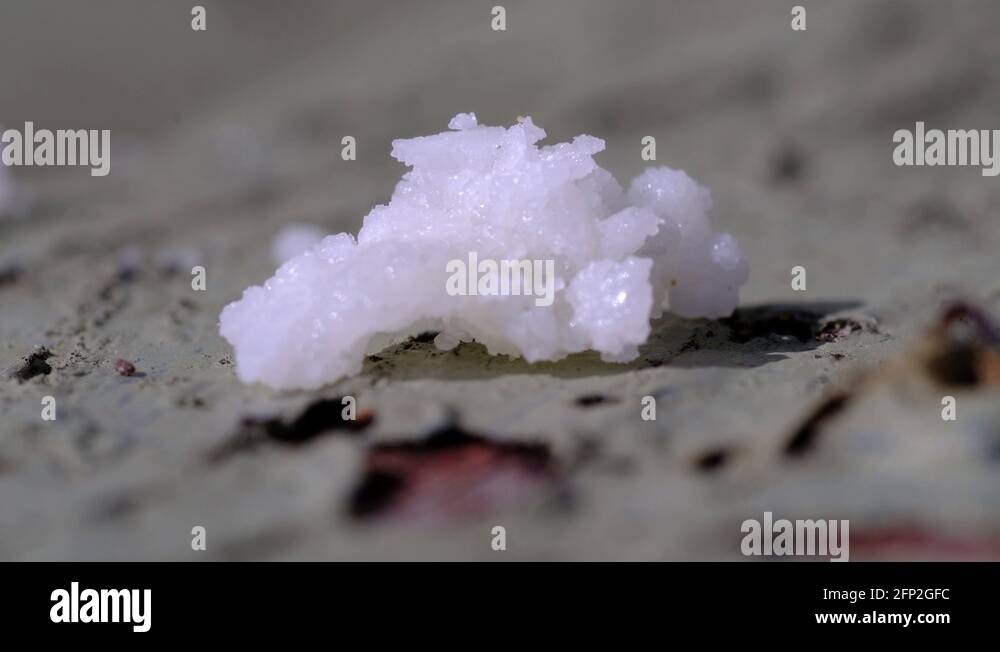 Ground reports Stock Videos & Footage - HD and 4K Video Clips - Alamy