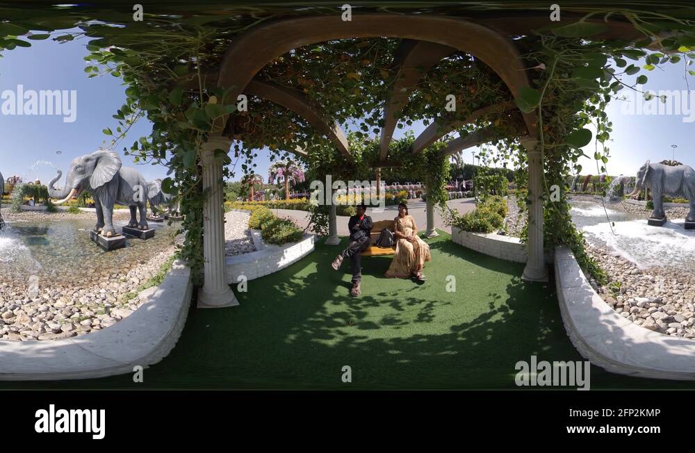 Elephant 360 Stock Videos & Footage - HD and 4K Video Clips - Alamy