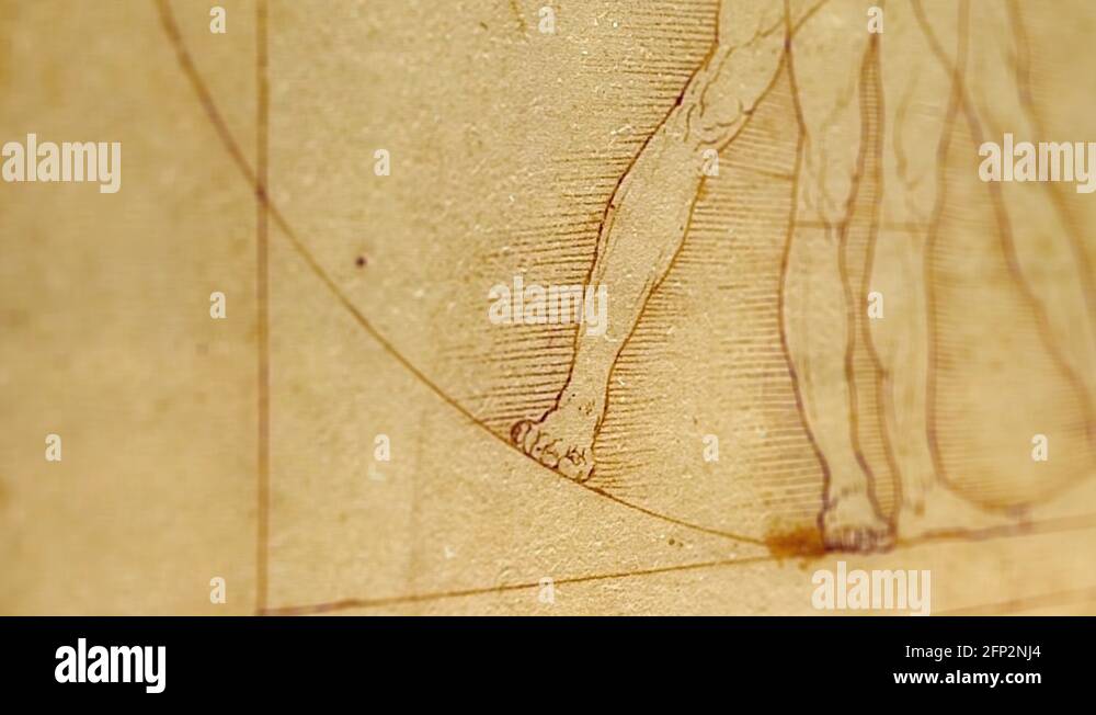Vitruvian man by Leonardo Da Vinci made in 1490. Animated work of art ...
