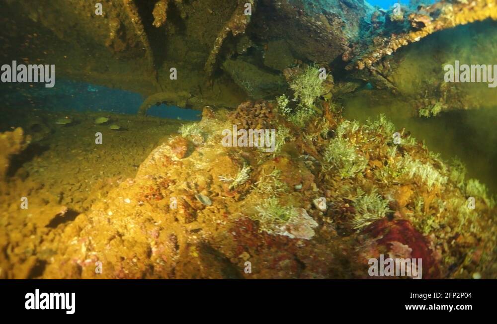 Shipwreck underwater pacific Stock Videos & Footage - HD and 4K Video ...