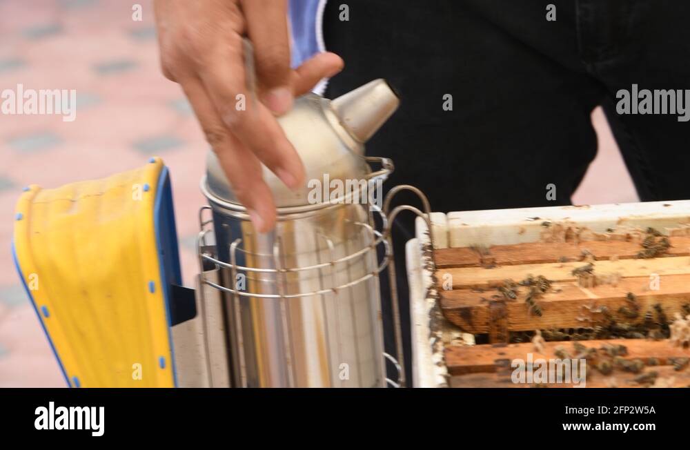 Close up video of Beehive frame with smoke fumes spray machine Stock ...
