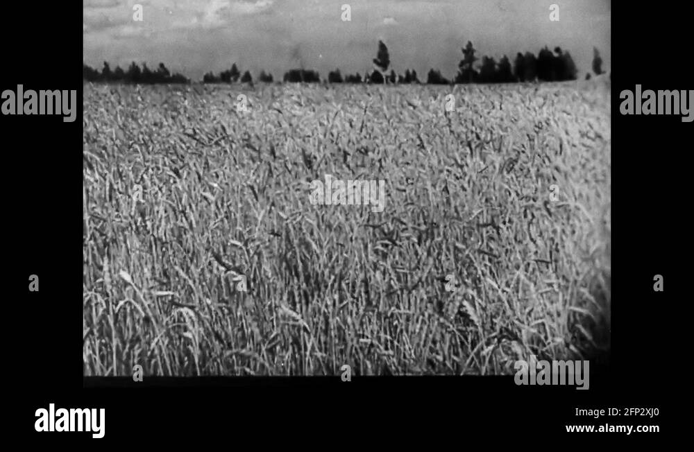 Soviet union russia agriculture food production Stock Videos & Footage ...