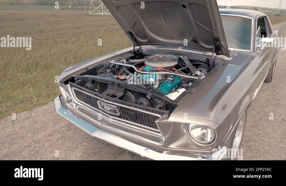 History bonnet Stock Videos & Footage - HD and 4K Video Clips - Alamy