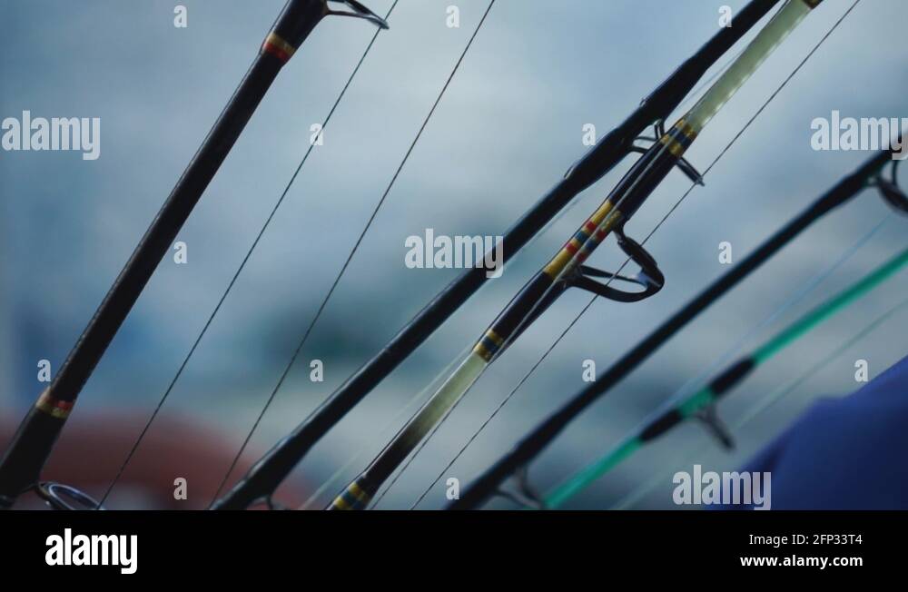 Reel rod rods line lines Stock Videos & Footage - HD and 4K Video Clips ...
