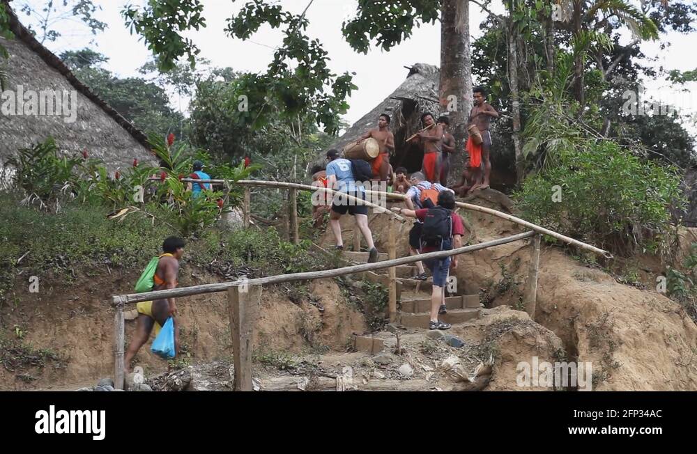 Embera village Stock Videos & Footage - HD and 4K Video Clips - Alamy