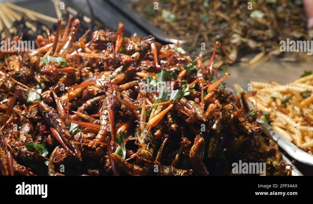 Asian fried insects Stock Videos & Footage - HD and 4K Video Clips - Alamy