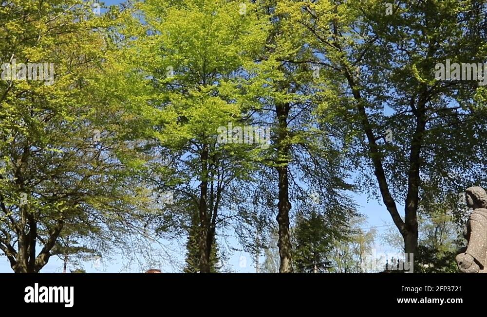 Historic or old burial ground Stock Videos & Footage - HD and 4K Video ...