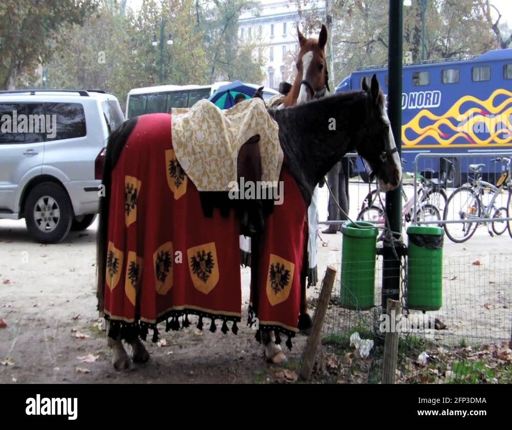 Caparison horse Stock Videos & Footage - HD and 4K Video Clips - Alamy