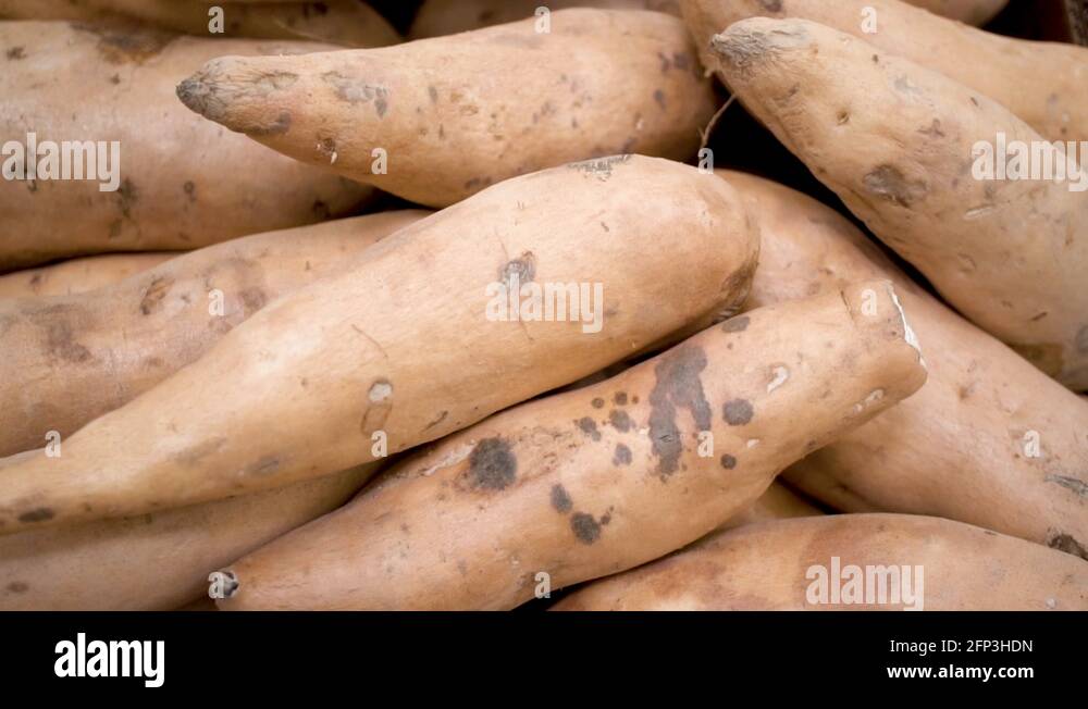 Starchy yam tuber Stock Videos & Footage - HD and 4K Video Clips - Alamy