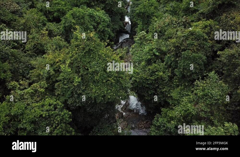 River canopy Stock Videos & Footage - HD and 4K Video Clips - Alamy