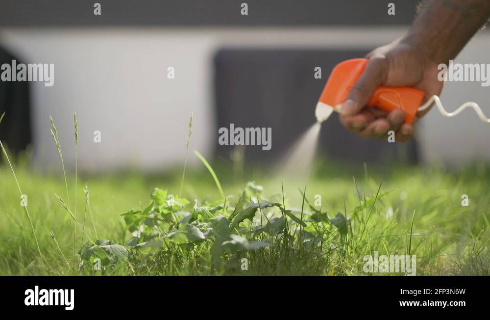 Spraying weed killer weeds Stock Videos & Footage - HD and 4K Video ...