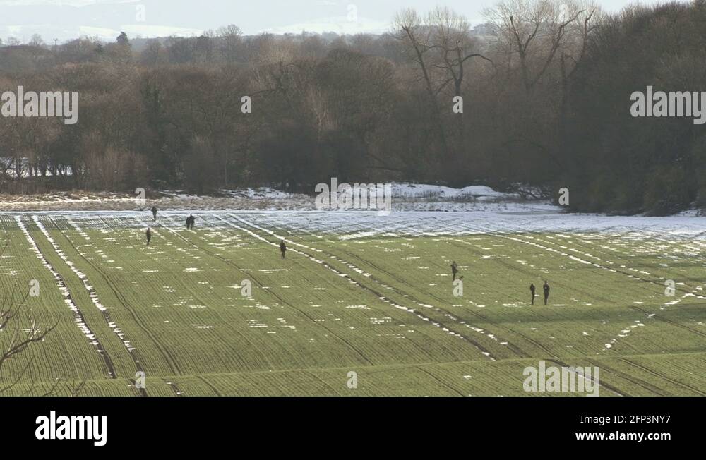 Flush of birds Stock Videos & Footage - HD and 4K Video Clips - Alamy