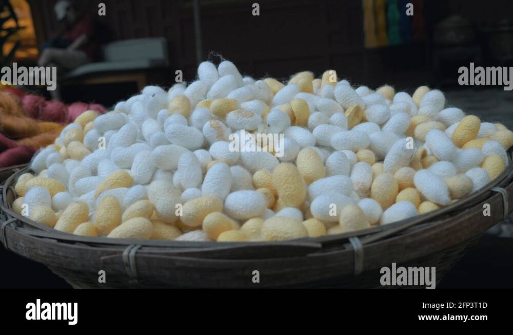 Silk making process Stock Videos & Footage - HD and 4K Video Clips - Alamy