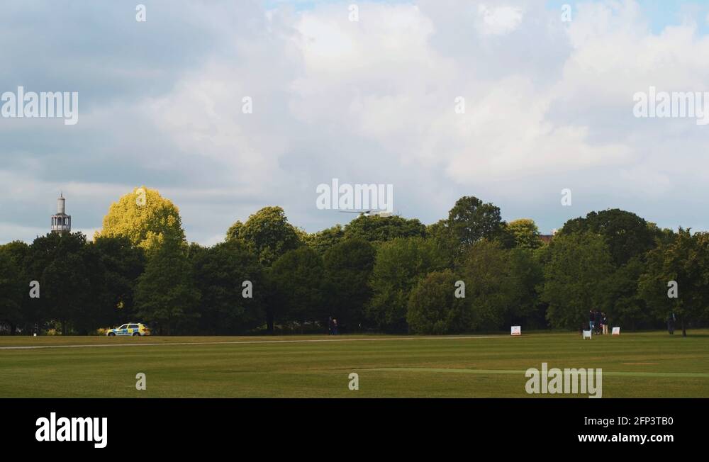 One tree hill park london Stock Videos & Footage - HD and 4K Video ...