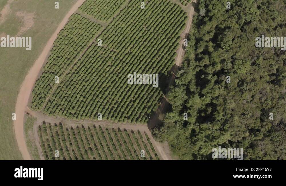 Beautiful deforestation Stock Videos & Footage - HD and 4K Video Clips ...