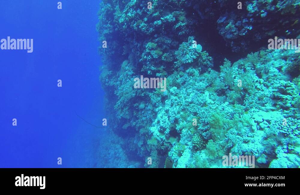 Steep wall Stock Videos & Footage - HD and 4K Video Clips - Alamy