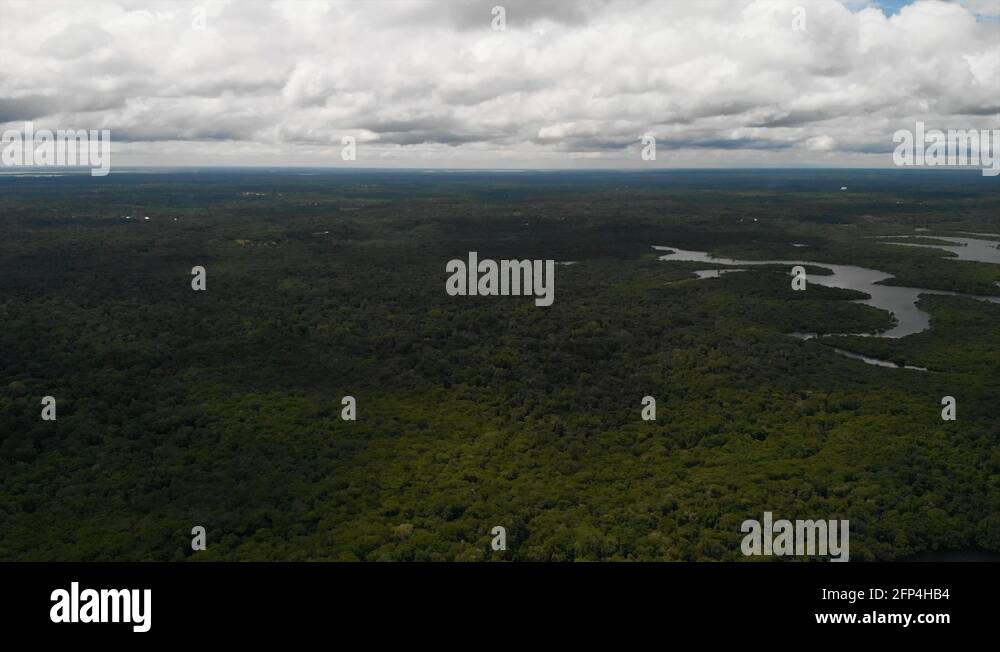 Rio amazonas Stock Videos & Footage - HD and 4K Video Clips - Alamy