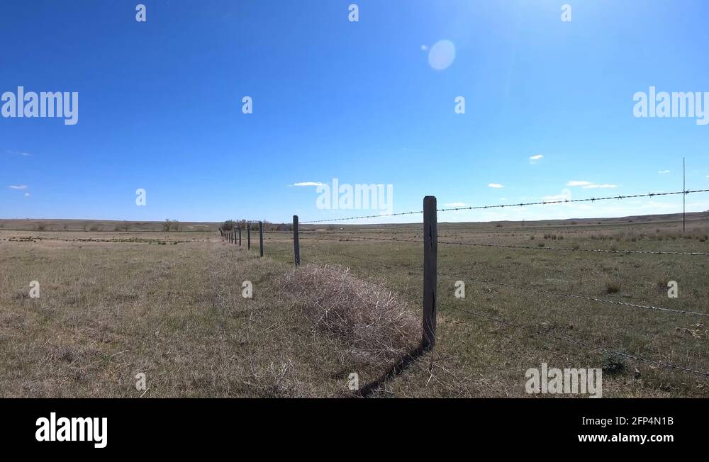 Country walk field trees Stock Videos & Footage - HD and 4K Video Clips ...