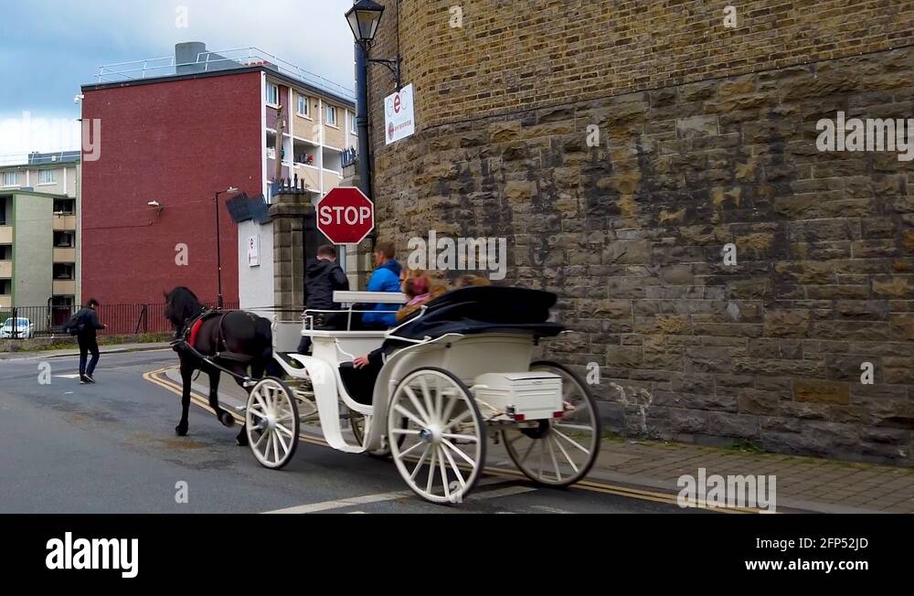 White horse drawn carriage Stock Videos & Footage - HD and 4K Video ...
