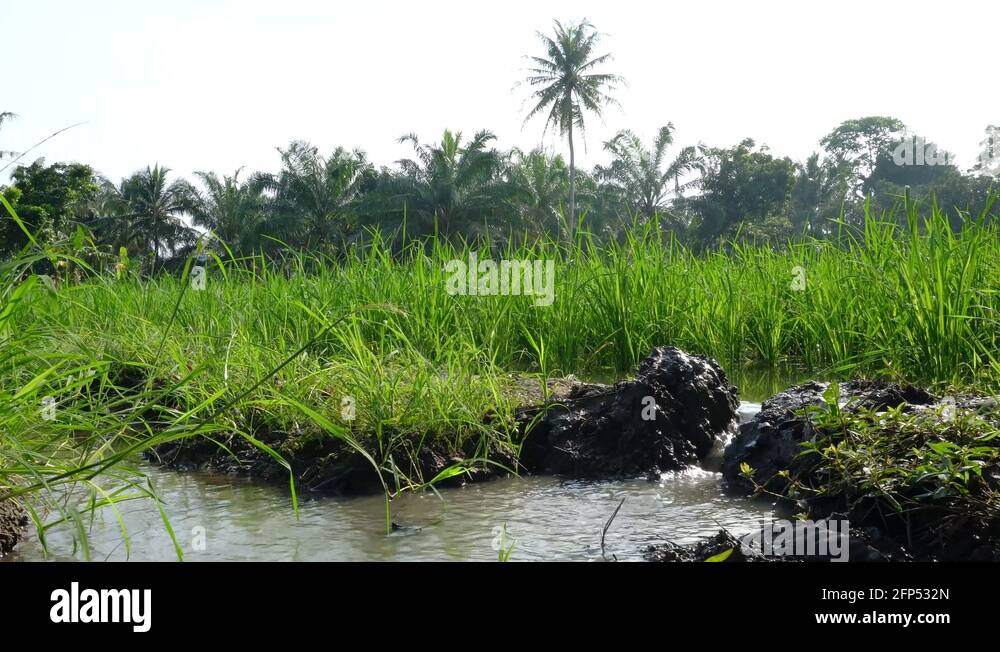 Traditional system Stock Videos & Footage - HD and 4K Video Clips - Alamy