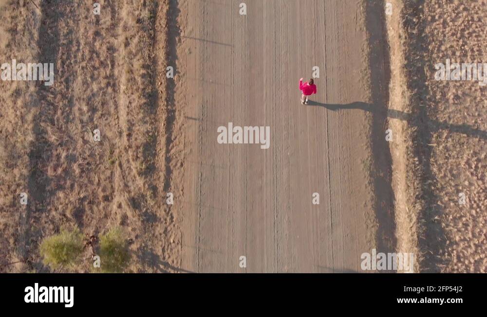 Road runner bird Stock Videos & Footage - HD and 4K Video Clips - Alamy
