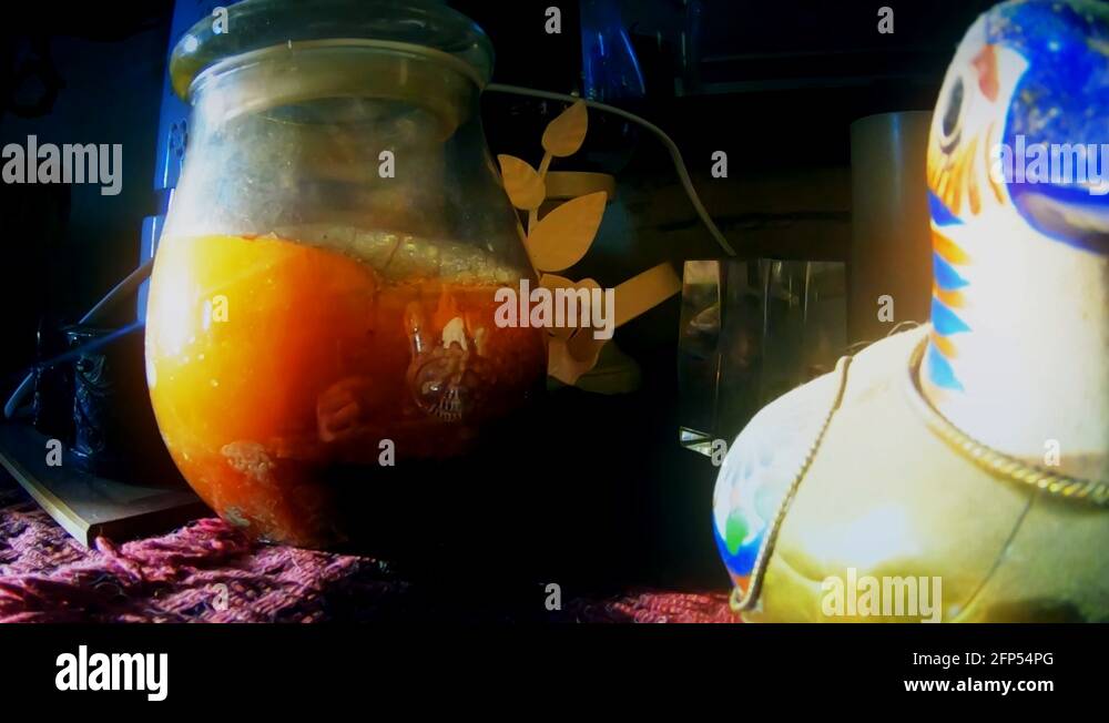 Objects in home Stock Videos & Footage - HD and 4K Video Clips - Alamy