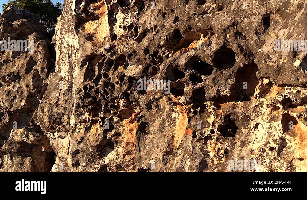 Biological weathering Stock Videos & Footage - HD and 4K Video Clips ...