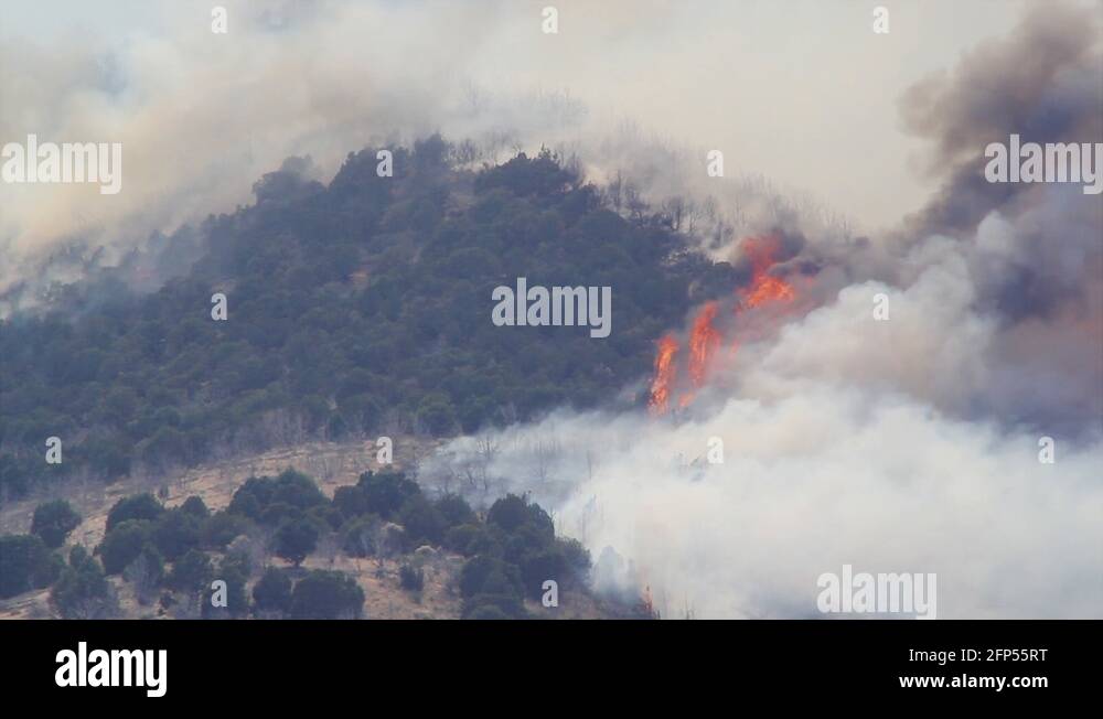 Huge forest fire Stock Videos & Footage - HD and 4K Video Clips - Alamy
