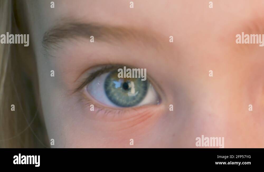 Two different color eyes Stock Videos & Footage - HD and 4K Video Clips ...