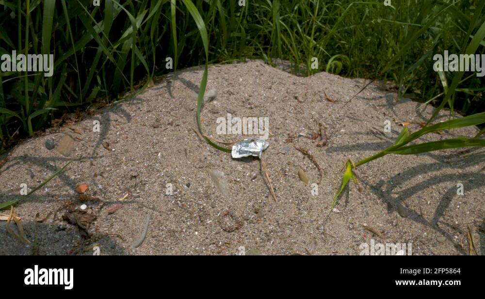 Litter littering wrapper Stock Videos & Footage - HD and 4K Video Clips ...