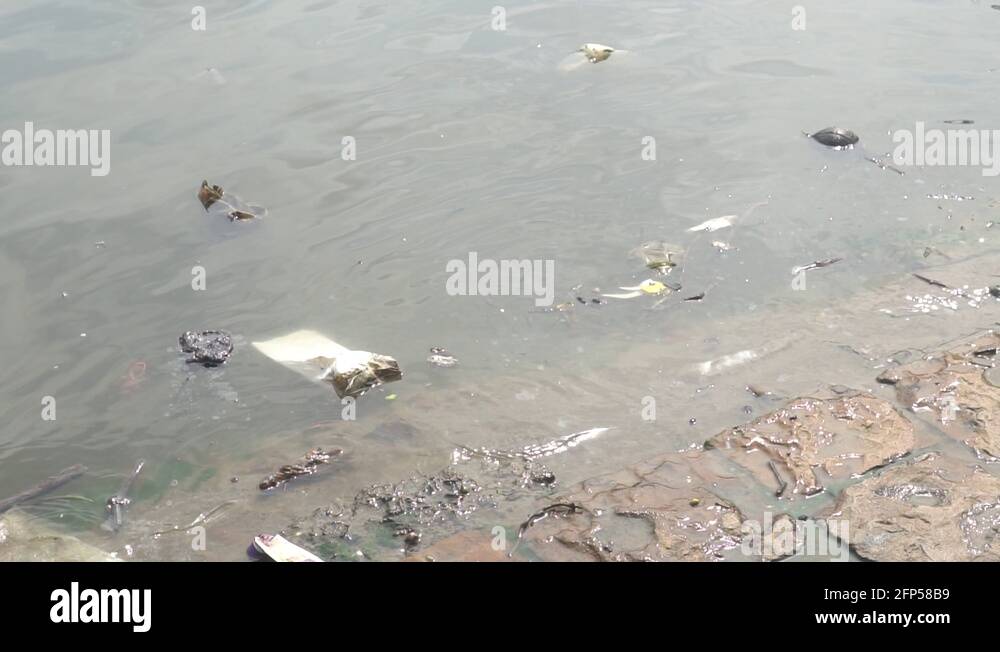 Polluted water in the sea - water pollution in india Stock Video ...