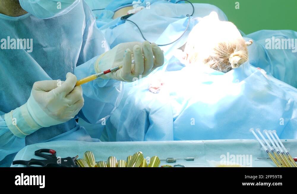 Age manipulation Stock Videos & Footage - HD and 4K Video Clips - Alamy