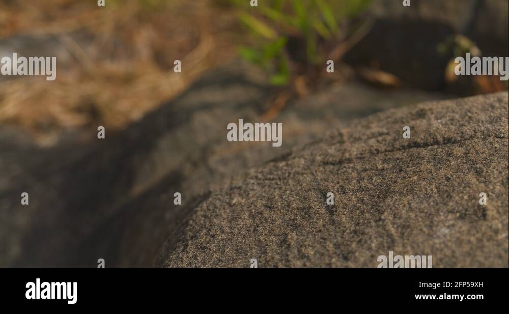 Granite boulder formation Stock Videos & Footage - HD and 4K Video ...