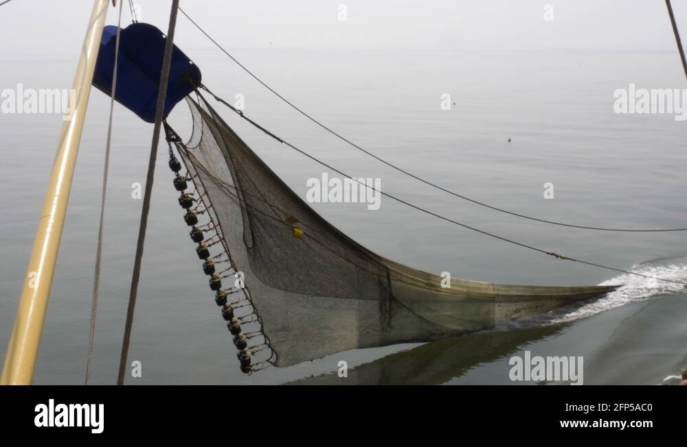 Trawling net Stock Videos & Footage - HD and 4K Video Clips - Alamy