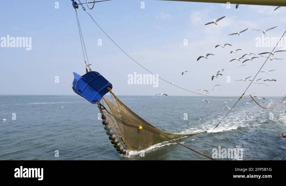 Commercial shrimp trawler Stock Videos & Footage - HD and 4K Video ...