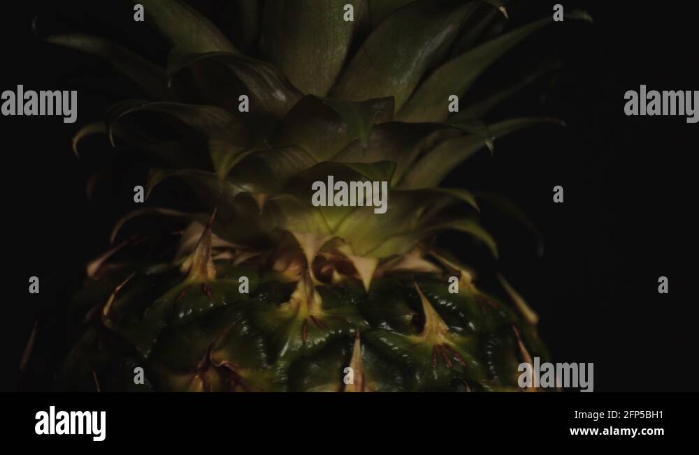 Detail of pineapple scale skin and crown rotating. Static. Black ...