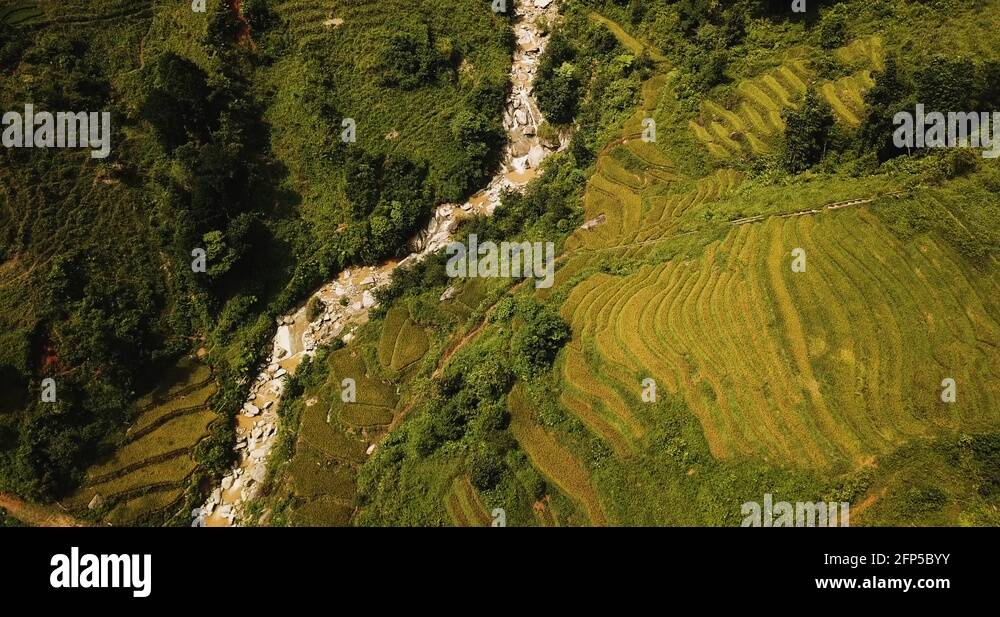 Sapa rice terraces Stock Videos & Footage - HD and 4K Video Clips - Alamy