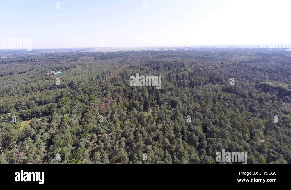 Overview of oak trees Stock Videos & Footage - HD and 4K Video Clips ...