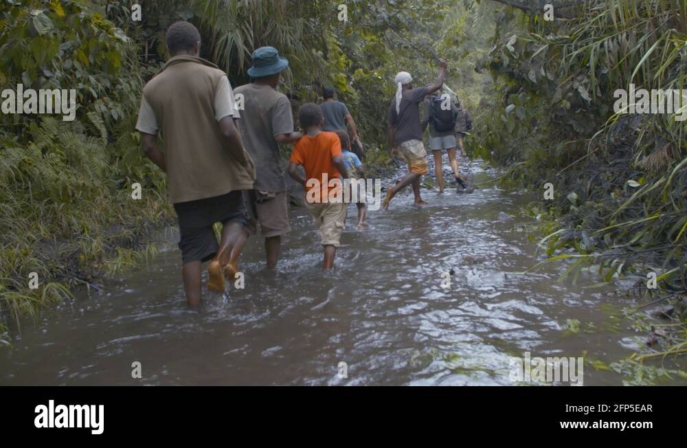 Local Melensian People Walking on Rainfall Stream in Forest of Tanna ...