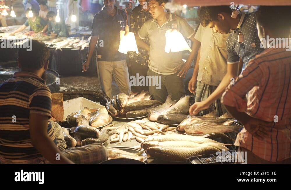Bangladesh fish market Stock Videos & Footage - HD and 4K Video Clips ...