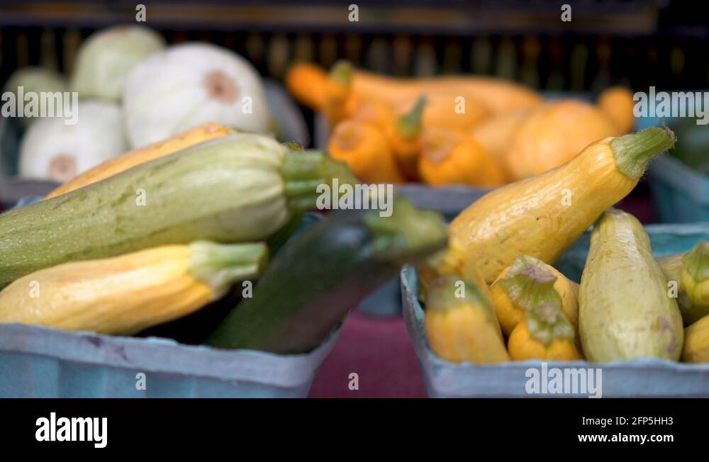 Types of squash Stock Videos & Footage - HD and 4K Video Clips - Alamy