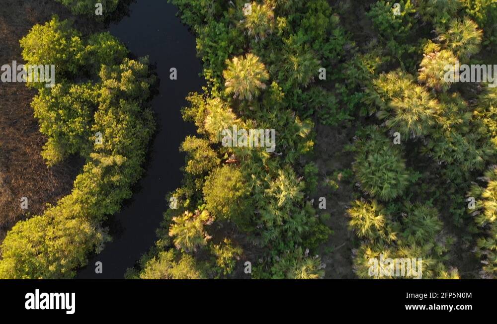 Smooth rapid Stock Videos & Footage - HD and 4K Video Clips - Alamy