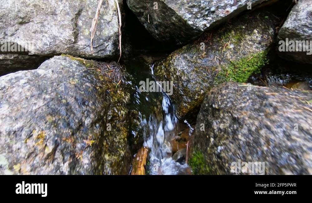 Fresh natural spring water at source with a rocky outlet point. Dolly ...