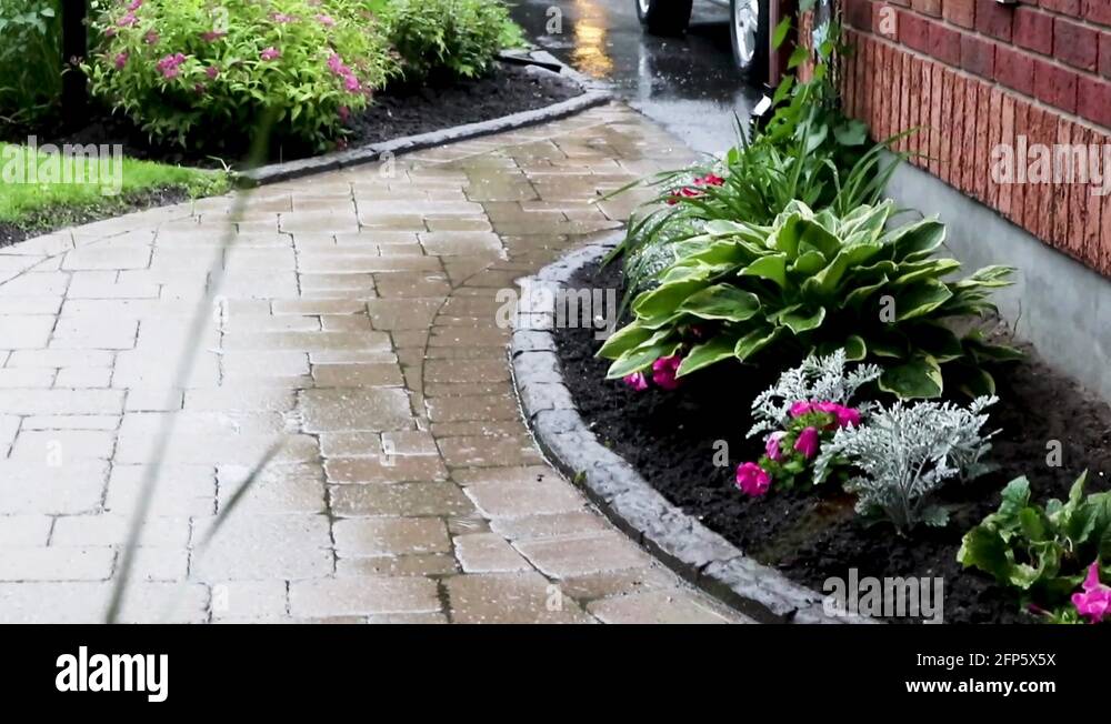 Rain on pathway Stock Videos & Footage - HD and 4K Video Clips - Alamy